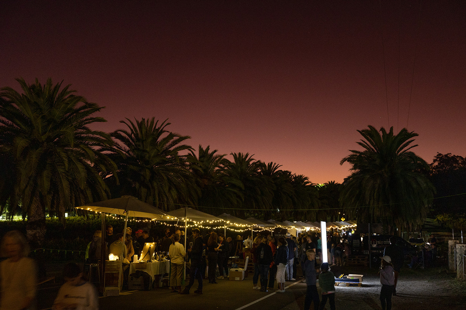 Seppeltsfield Road Distillers Barossa gin – Seppeltsfield Rd Distillers